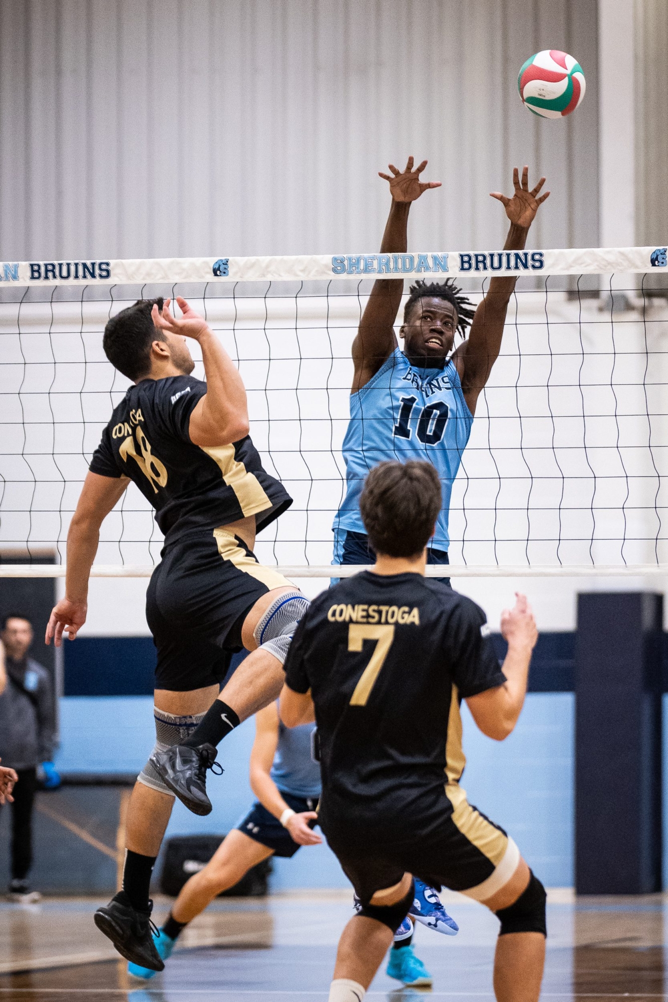 OCAA Men's and Women's Volleyball - Conestoga Condors vs. Sheridan ...